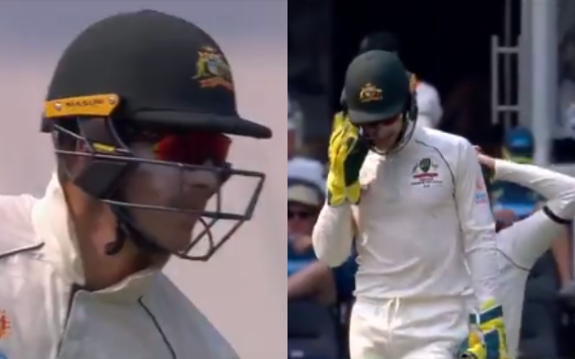 'He smells very nice' - Tim Paine's hilarious one-liners on stump-mic ...